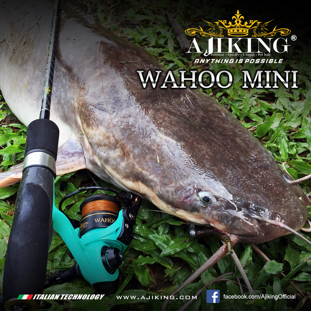 (UL) Ajiking Wahoo Mini Limited Edition Terhad Mesin Pancing Spinning Fishing Reel Ultralight ...