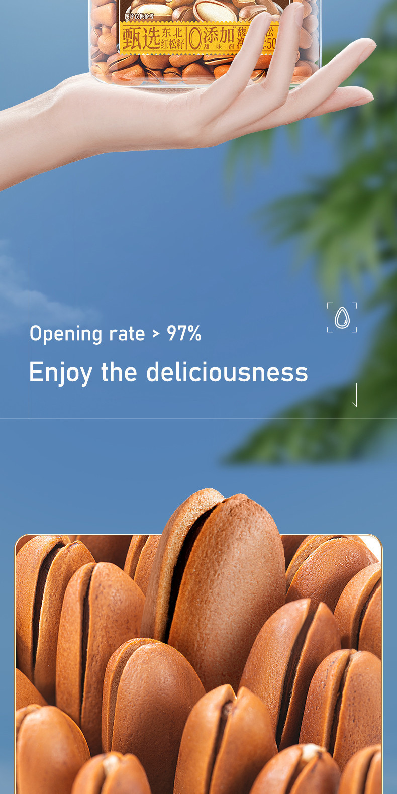 【Halal】Three Squirrels Canned Hand Peeled Opening Pine Nuts 三只松鼠罐装开口松子 大颗粒 东北长白山 (500g) | Shopee ...