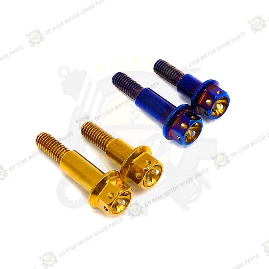 Universal Brake & Clutch Lever Bolt Screw Skru 6*30MM Gold Titanium Y15 ...