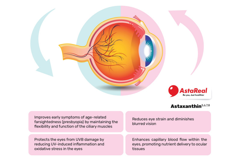 Bio-Life Asta-Vizion Formulated with Lutein, Zeaxanthin & Astaxanthin ...
