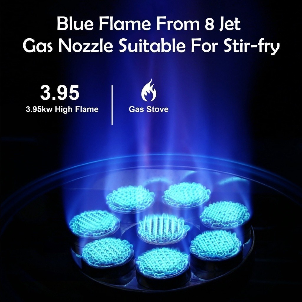 Swiss Thomas Stainless Steel Dual Gas Stove – 8 Jet Burners & Infrared ...