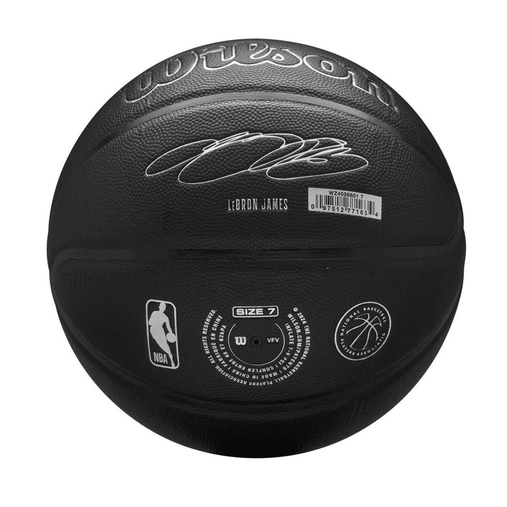 Wilson NBA Player Nightmode Lebron James Indoor/Outdoor Basketball ...