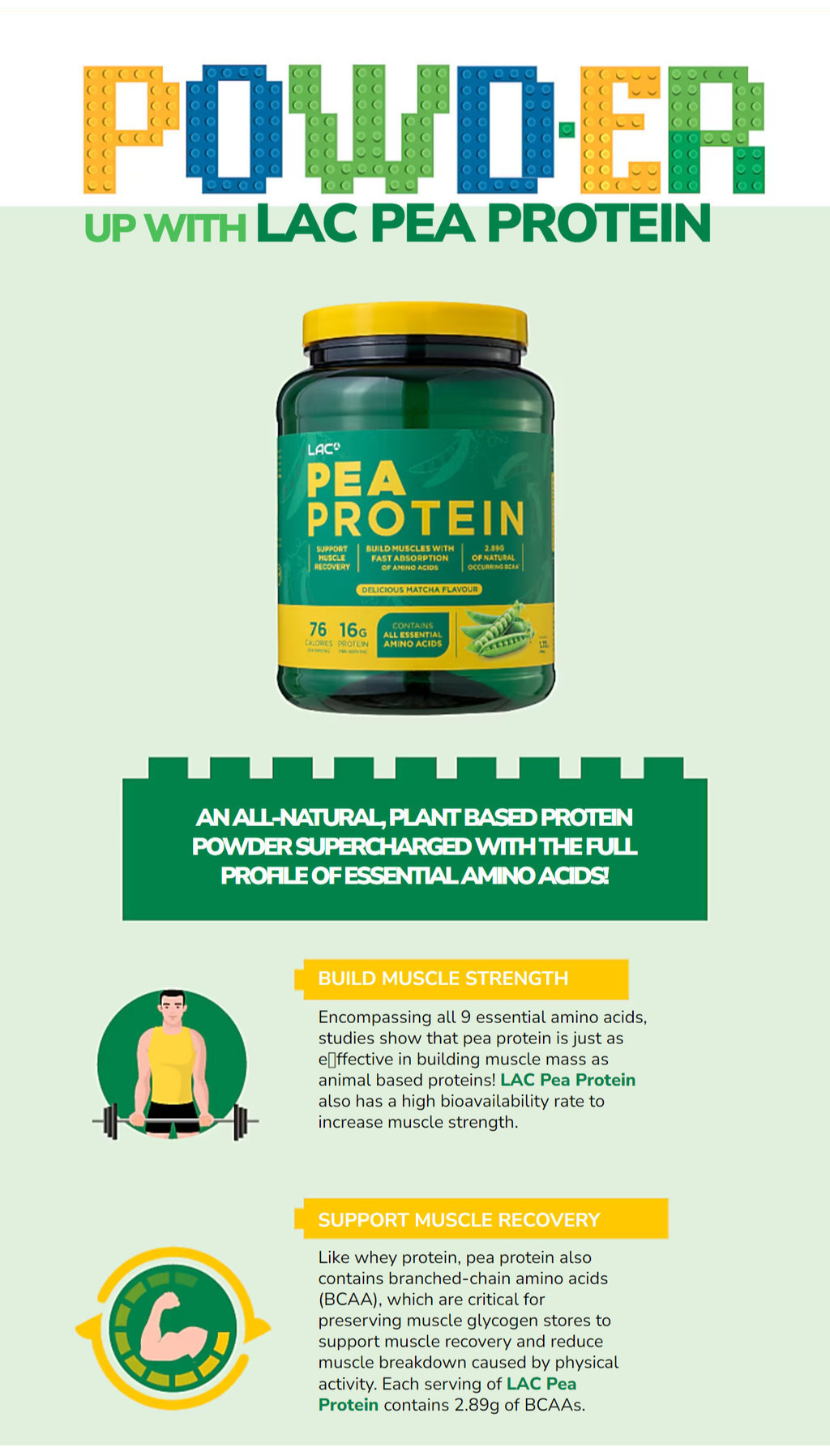 LAC Pea Protein - Matcha Flavor (32 servings/784g) [Exp Jan 2027 ...