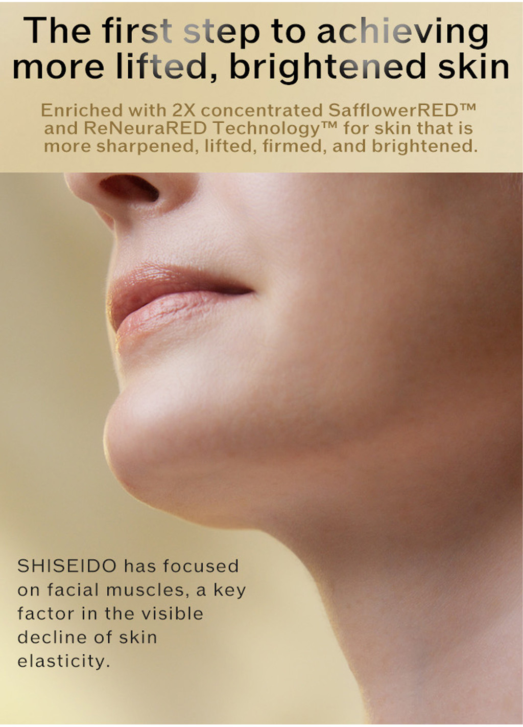 Shiseido Vital Perfection Concentrated Supreme Cream 50ml (Anti-Aging ...