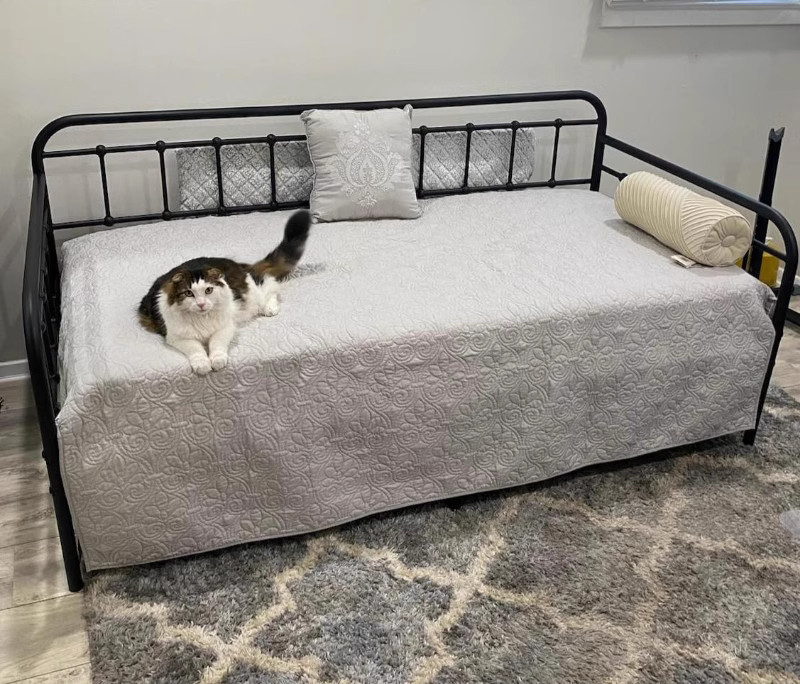 6FT Metal Sofa Bed Single Iron Bed Frame Queen Bed Daybed Katil Bujang ...