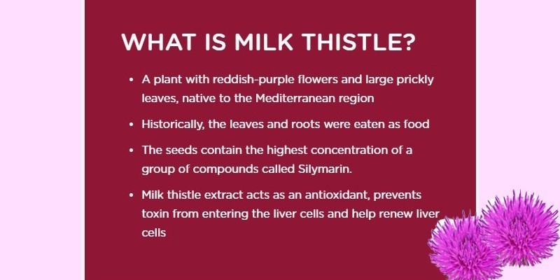 Thomson Livrin 300mg (30 Capsules) BUY 1 FREE 1 | Shopee Malaysia