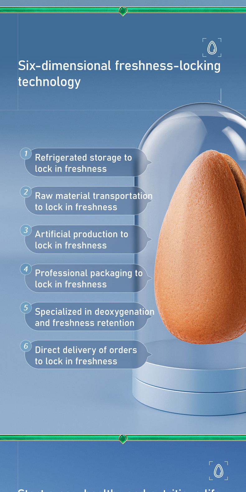 【Halal】Three Squirrels Canned Hand Peeled Opening Pine Nuts 三只松鼠罐装开口松子 ...