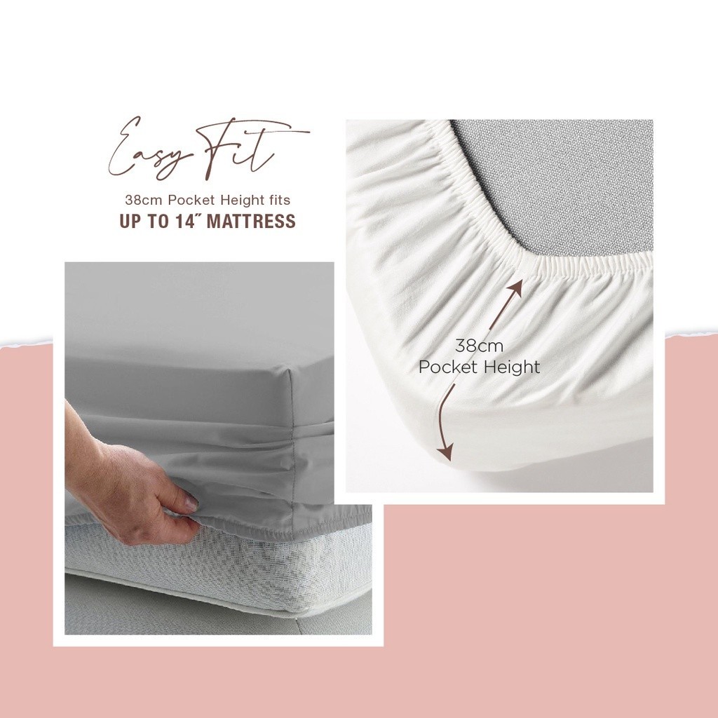 WINNY Floreal Pure Cotton Fitted Sheet Set | 680 TC (Super Single ...