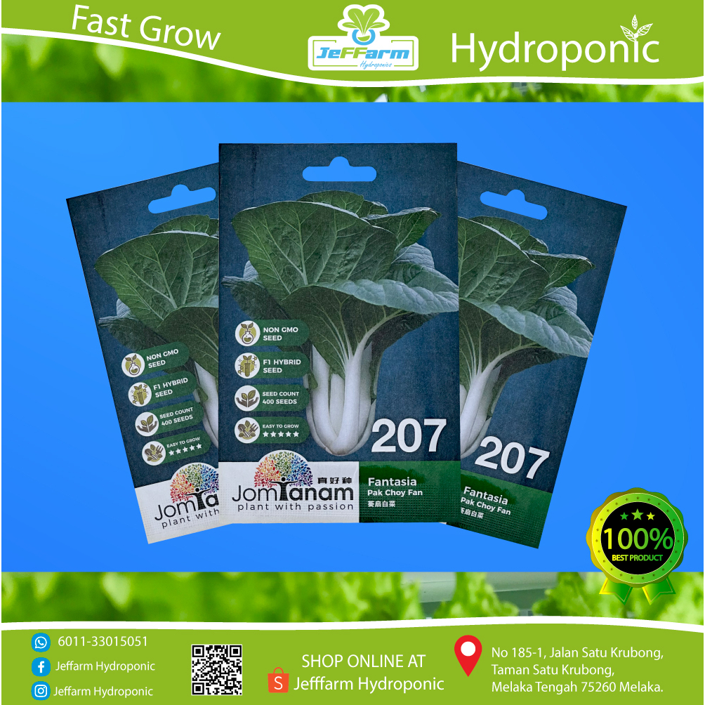1 PKT SAWI PUTIH (PAK CHOY FAN FANTASIA) | JEFFARM HYDROPONIC | Shopee ...