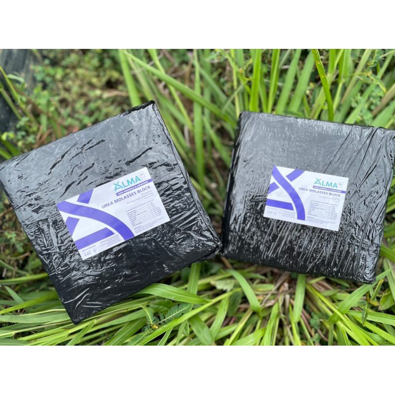 Urea Molasses Block 2KG | Shopee Malaysia