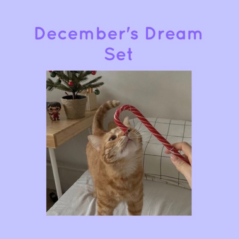 December's Dream Set 💫 ️ ( Only ShopeePay ) • Royale High • | Shopee ...