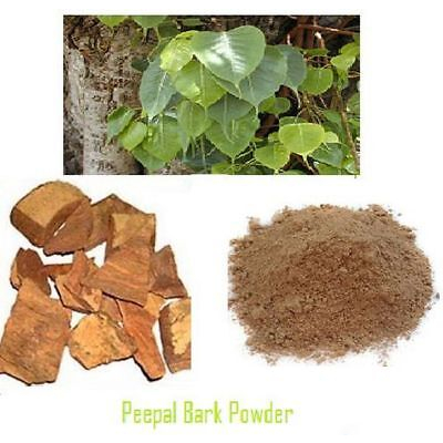 sacred figs bark/powder/seed arasa vithai (ficus religiosa) arasam ...