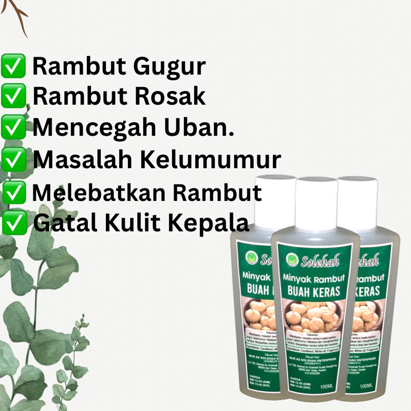 Minyak Rambut Buah Keras | Shopee Malaysia