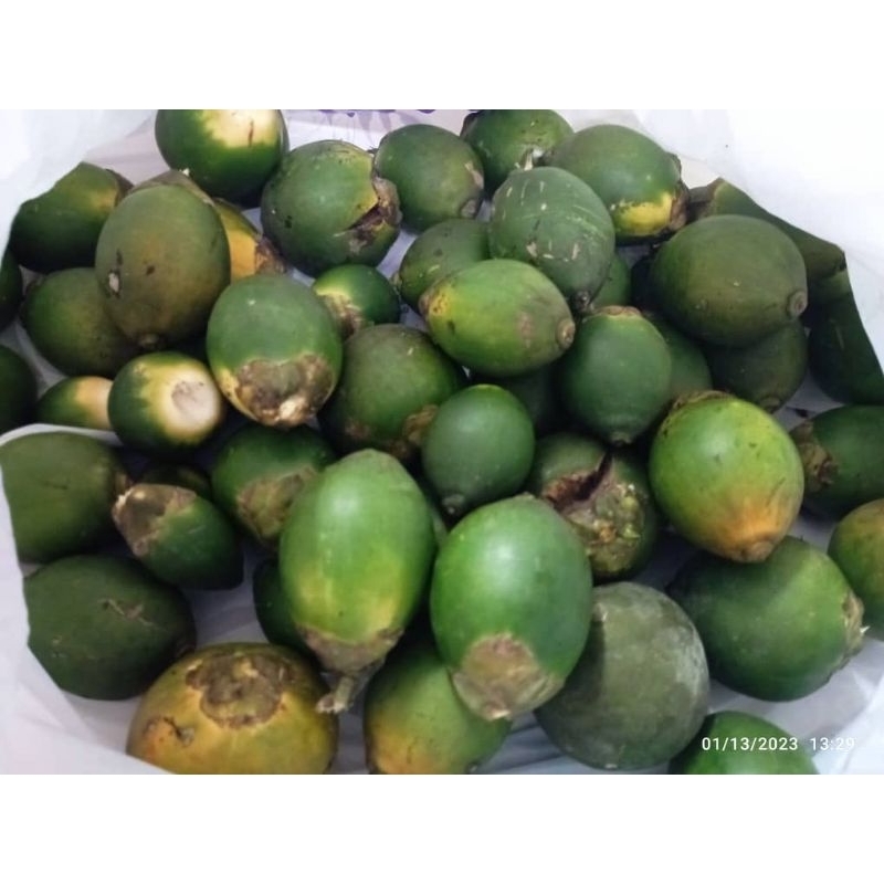 Buah Pinang Hijau 2kg | Shopee Malaysia
