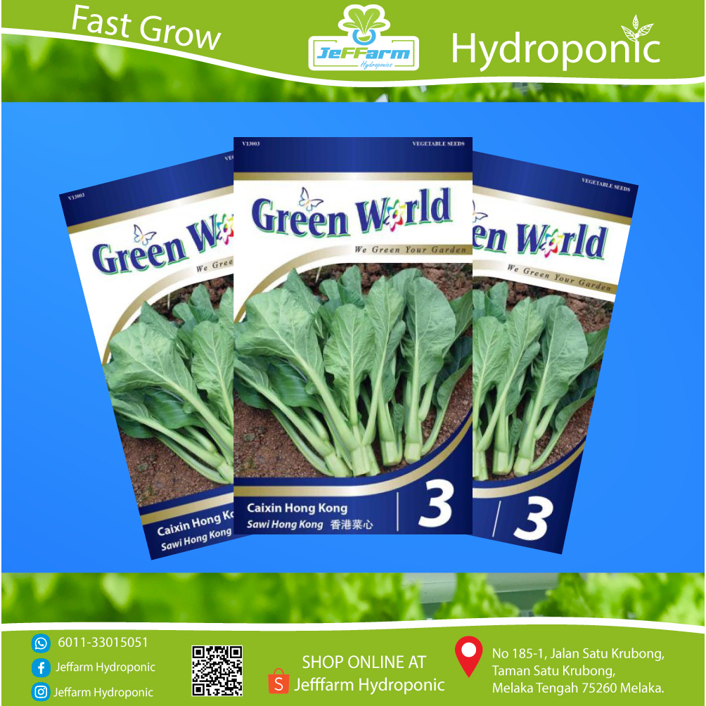 1 PKT SAWI HONG KONG (CAIXIN HONG KONG ) | JEFFARM HYDROPONIC | Shopee ...