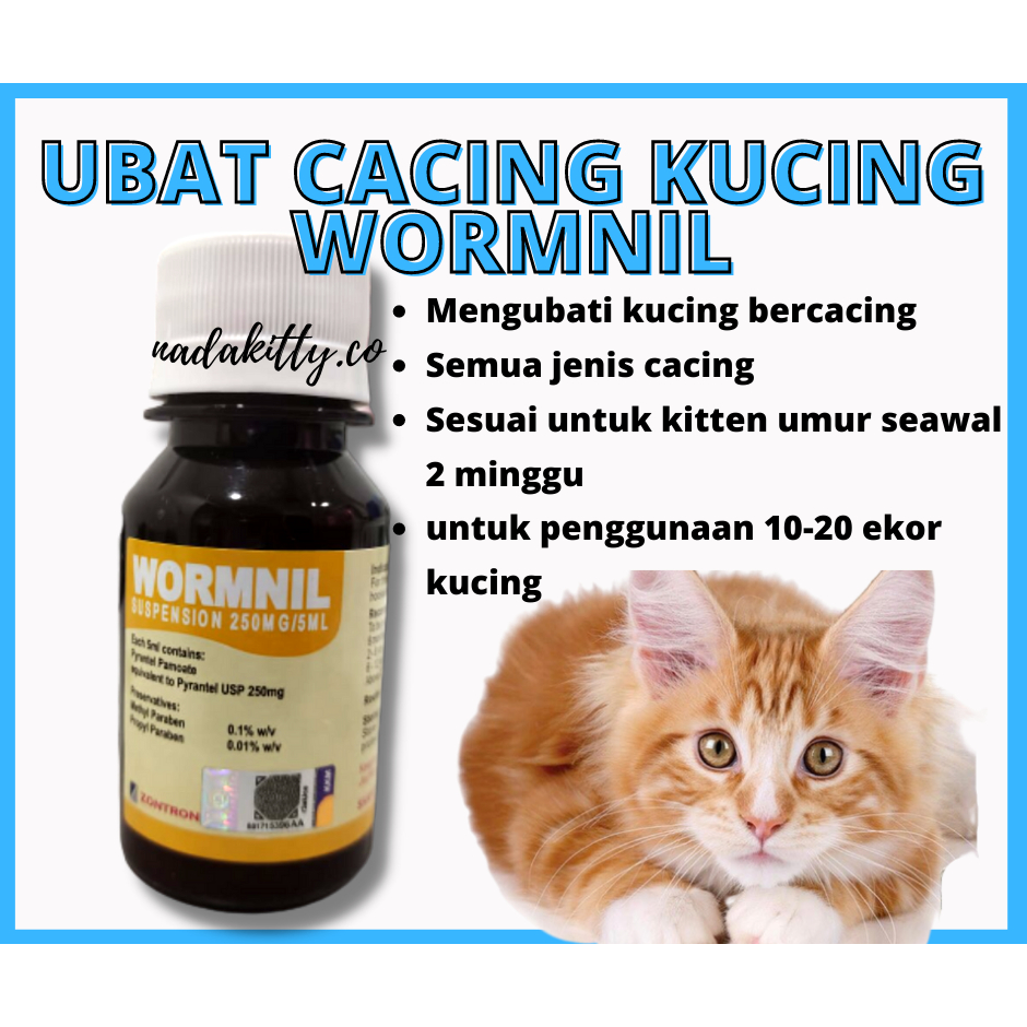 Ubat Cacing Kucing Cecair Wormnil Ubat Cacing Kucing Kitten 60ml ...