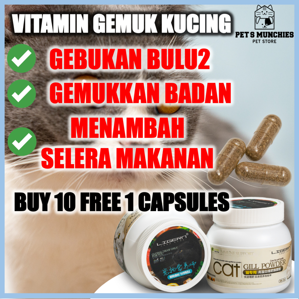 [BUY 10 FREE 1] Vitamin Gemuk Kucing Mengemukkan Kucing Vitamin Kucing ...