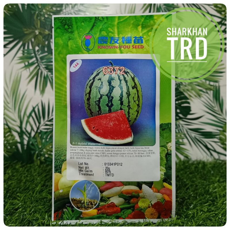 Paket 20g 6372 144 Known You Seed Biji Benih Tembikai Cina F1 Hybrid Watermelon Seeds Taiwan ...