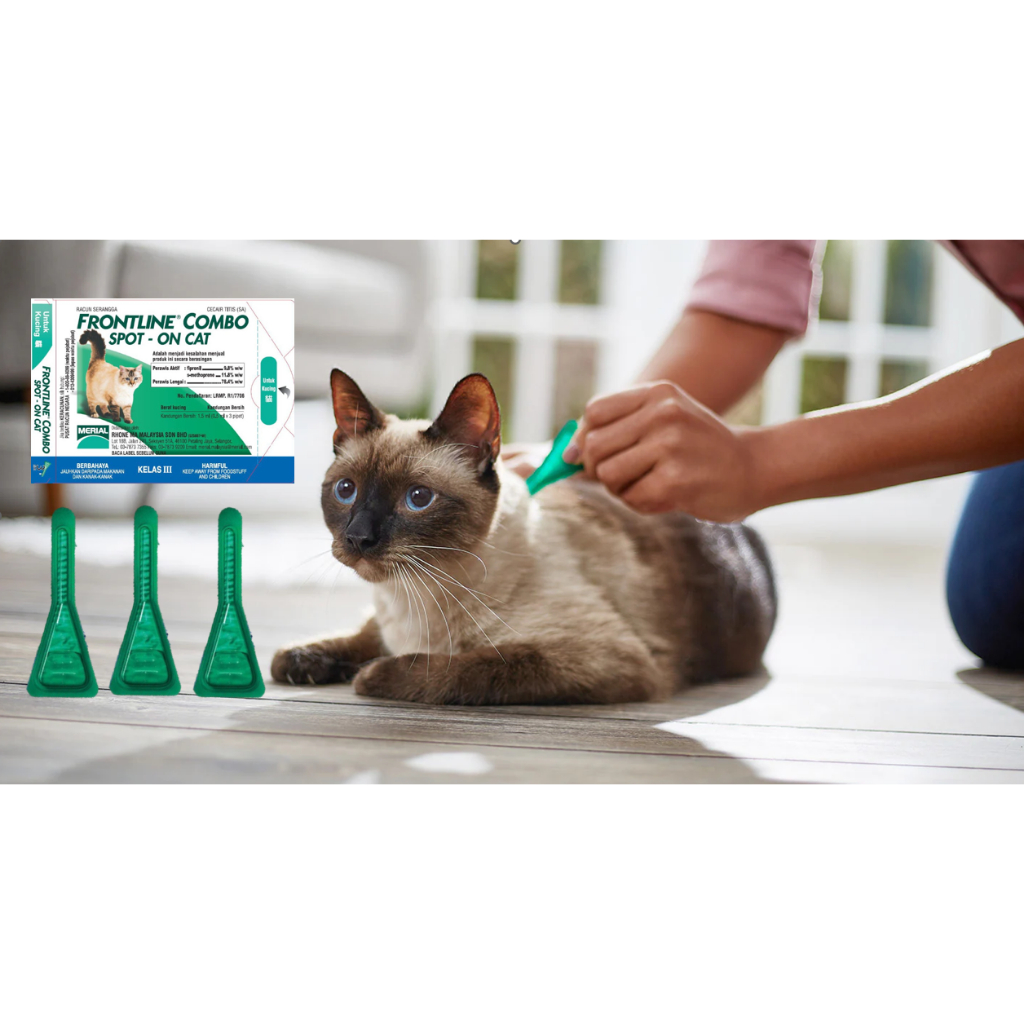 Frontline Combo Spot - On Cat 1.5ml (0.5ml x 3 pipet) 1 Box | Shopee ...