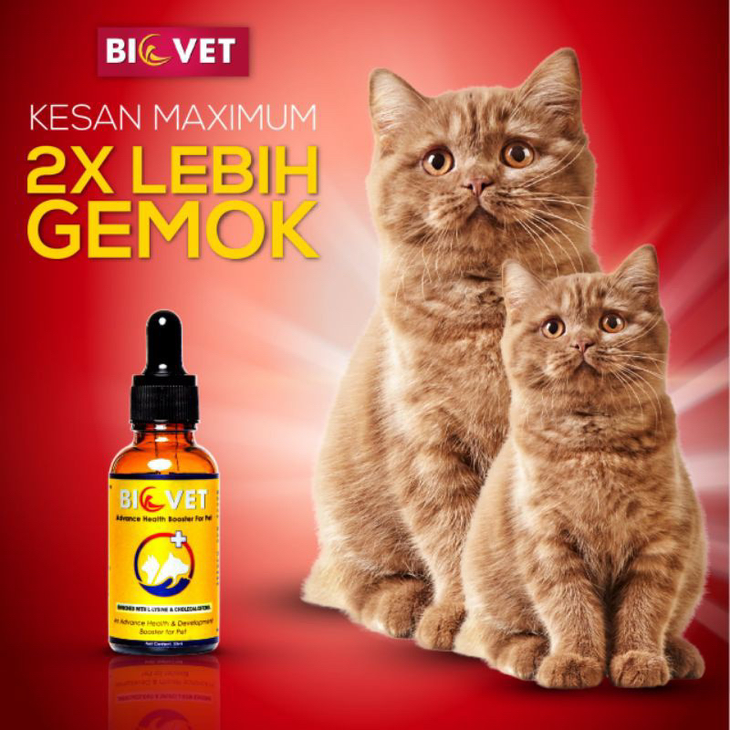 ( BIOVET VITAMIN KUCING ) LEBAT BULU , BULU GUGUR , RAWAT KURAP , GEMUK TAMBAH SELERA MAKAN ...