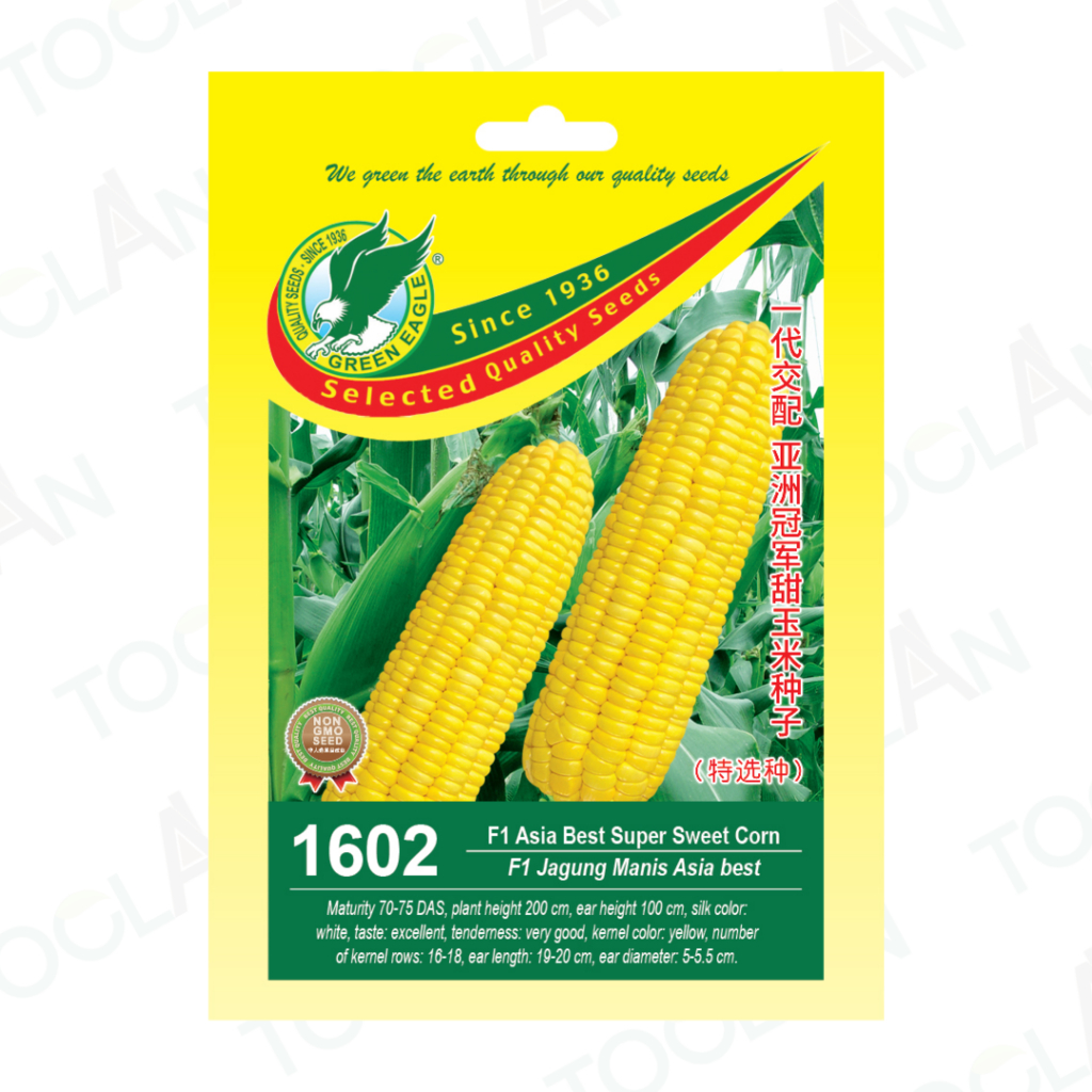 F1 Hybrid Asia Best Super Sweet Corn Seeds / Benih F1 Hibrid Jagung ...