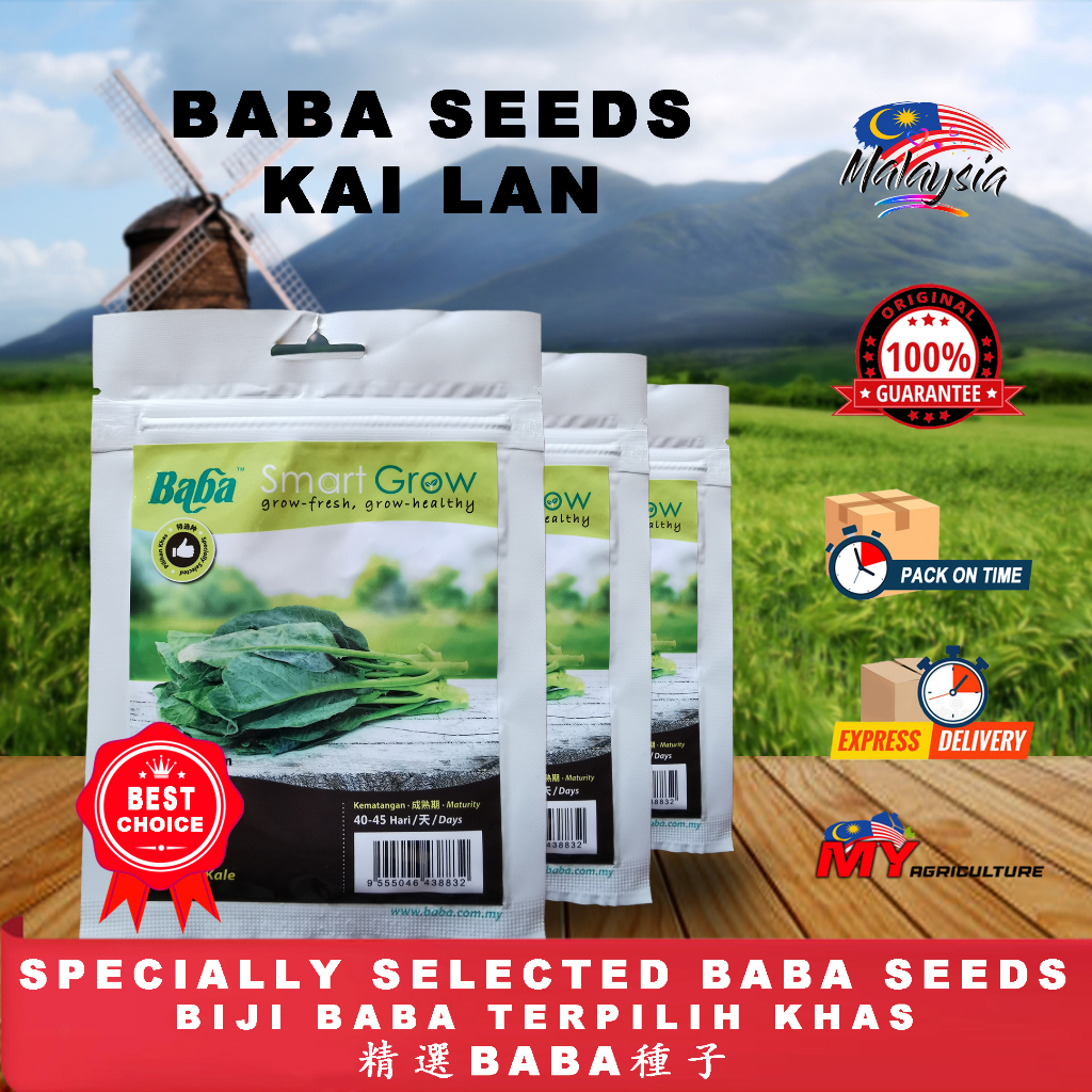 BABA BIJI KAI LAN SEEDS (10G +-) - MY AGRICULTURE ( BUAH SAYUR FRUITS ...
