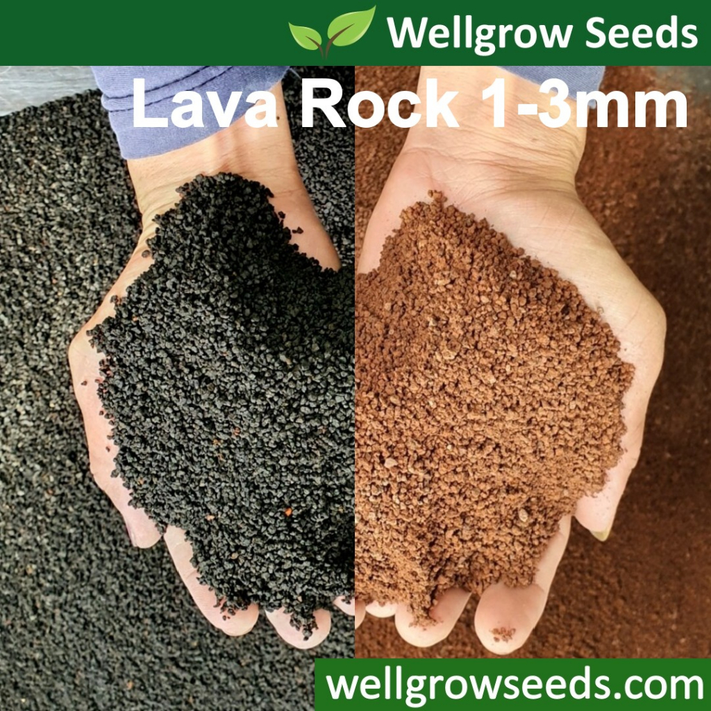 4L Lava Rock Various Sizes (Red/black) 火山石(细) Pasir Malang kaktus ...