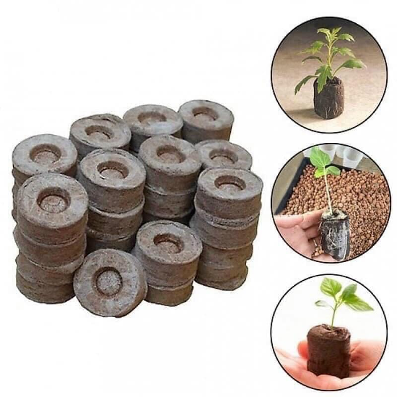 Jiffy Peat Pellet Saiz 33mm Seed Starting Pallet Media Semai Benih Soil ...
