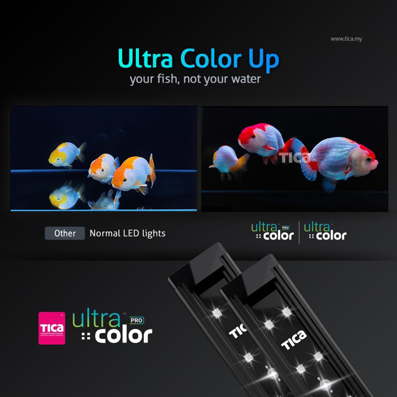 ALL NEW TICA ULTRA COLOUR & ULTRA COLOUR PRO | Shopee Malaysia