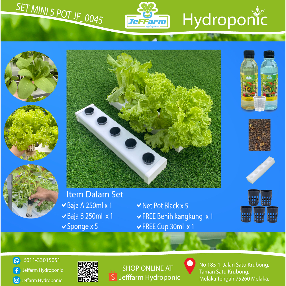 SET MINI HYDROPONIC 5 POT | JEFF FARM HYDROPONIC | Shopee Malaysia