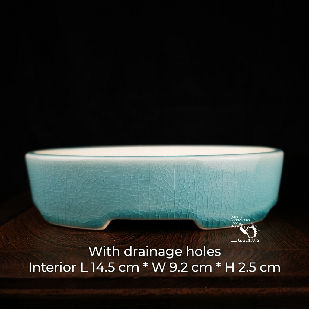 Ceramic pot 陶瓷盆 Ice Crack Glaze Pot 冰裂 陶瓷 Pasu 花盆 flower pot/ succulent ...