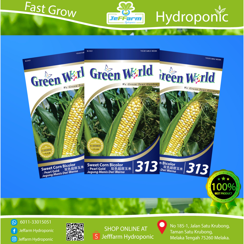 1 PKT SWEETCORN BICOLOR-PEARL GOLD | JEFFARM HYDROPONIC | Shopee Malaysia