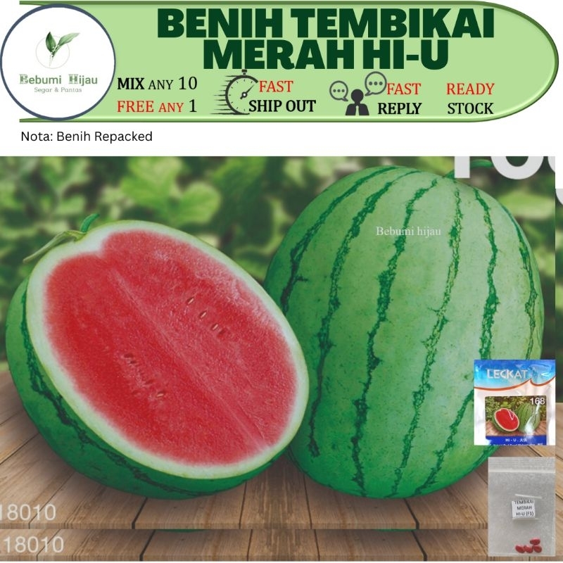 PELBAGAI Biji benih TEMBIKAI WATERMELON seeds manis juicy besar tembikai merah tembikai kuning ...
