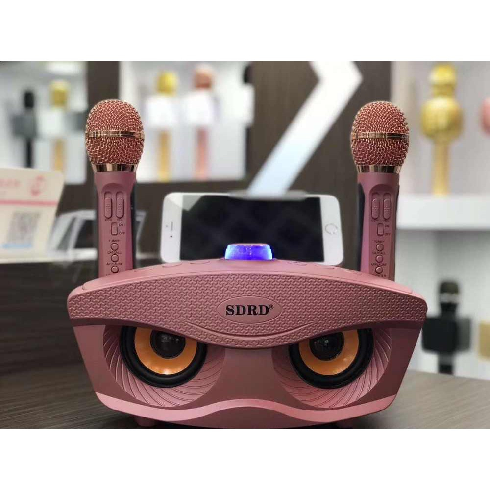 Hot SDRD SD-306Wireless Bluetooth Dual Microphone Karaoke Portable 3D ...