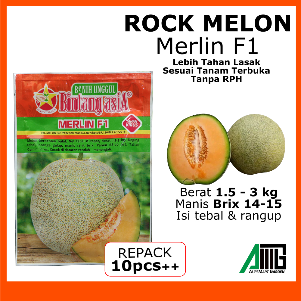 (NEW) MERLIN F1 Rock Melon Manis Benih Bintang Asia | Shopee Malaysia