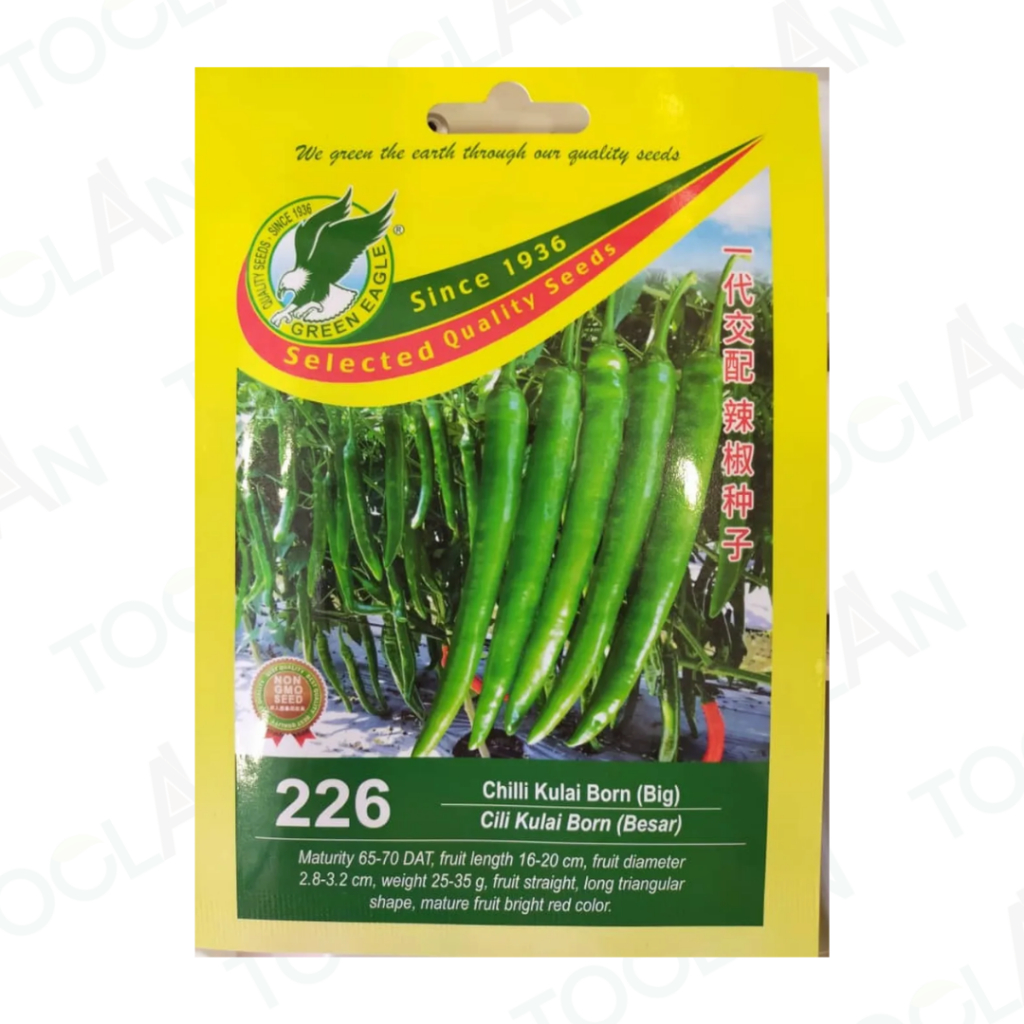 Chili Kulai Born (Big) Seeds / Benih CIli Kulai Born (Besar) | Shopee ...