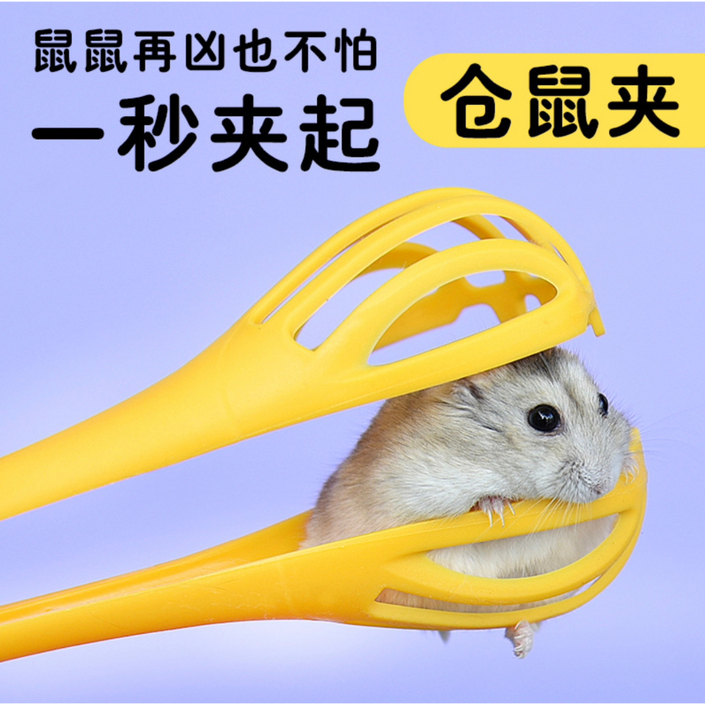 Hamster Clip Pet Prevent Bites Children's Catching Handy Tool Instead ...