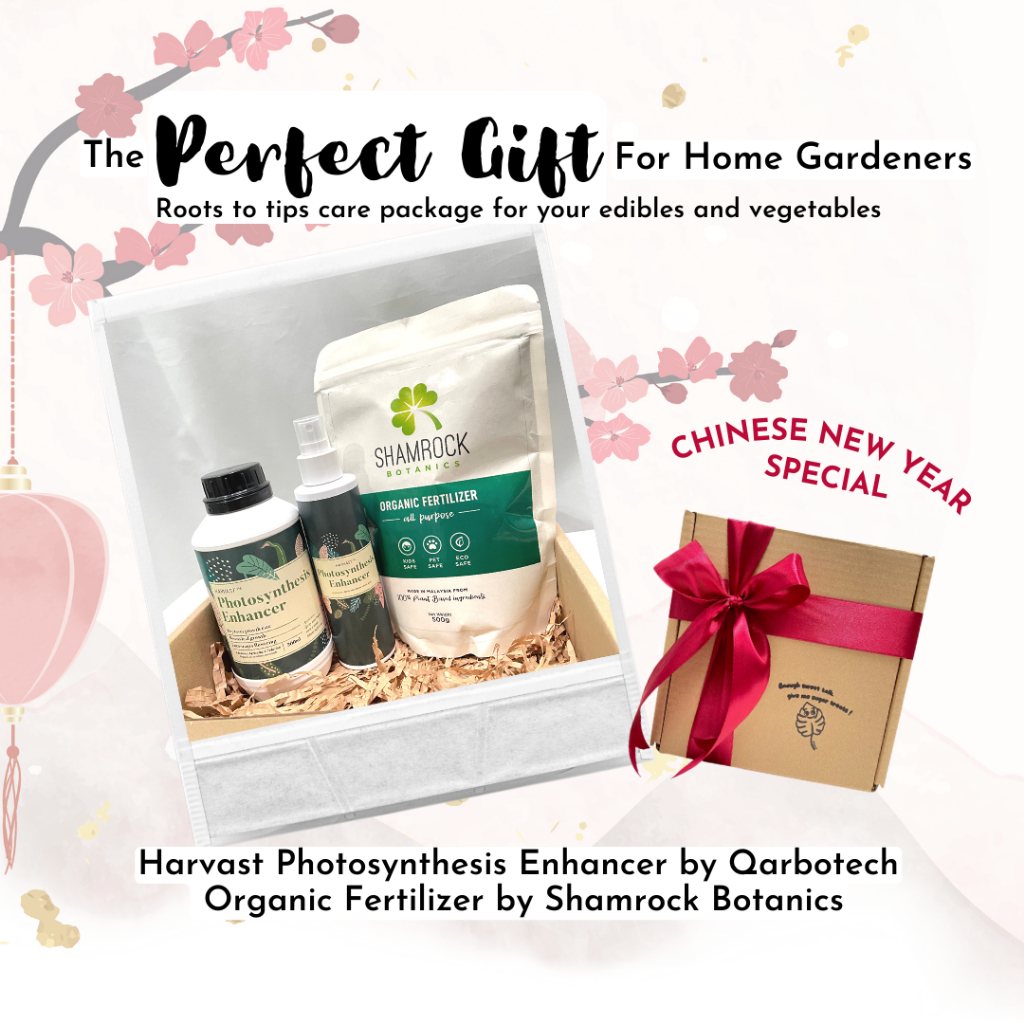 Harvast Gift Set (For Vegetables & Edibles) | Shopee Malaysia