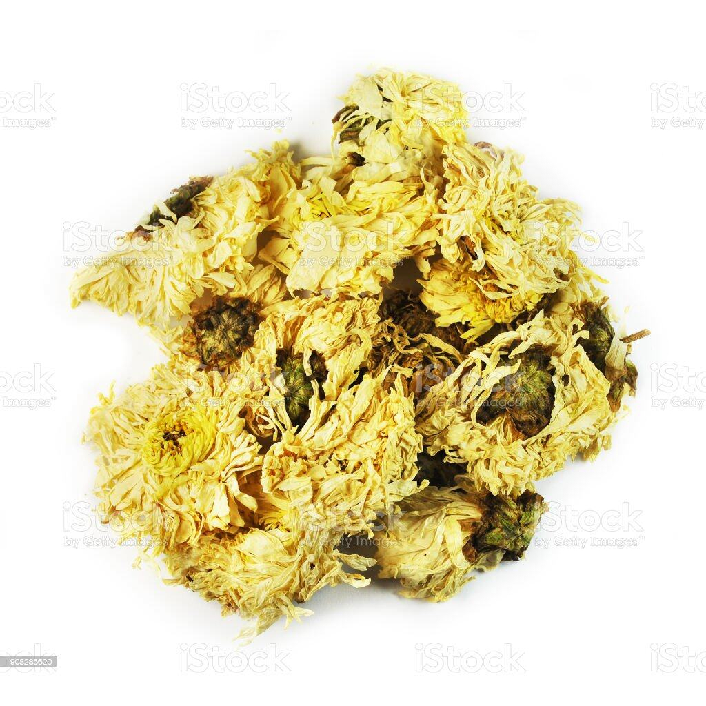 yellow chrysanthamum buds/flower tea teh bunga kekwa (Chrysanthemum ...