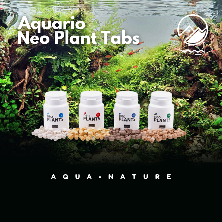 Aquario Neo Root Tabs/Plant Tabs (Planted Aquarium/Aquascape) | Shopee ...