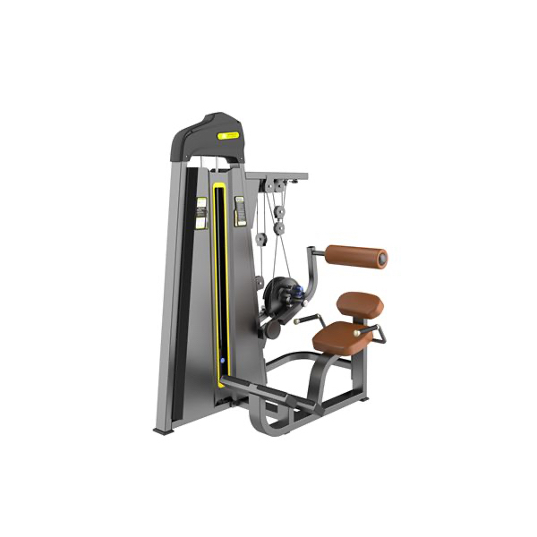 Pre Order-Abdominal/Back Extension(Commercial Grade) | Shopee Malaysia