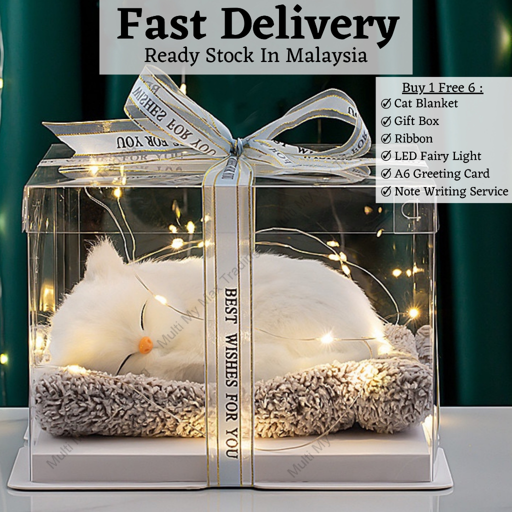 Valentine Gift Cute Cat Pet Gift Birthday Girlfriend Present Gift Box ...