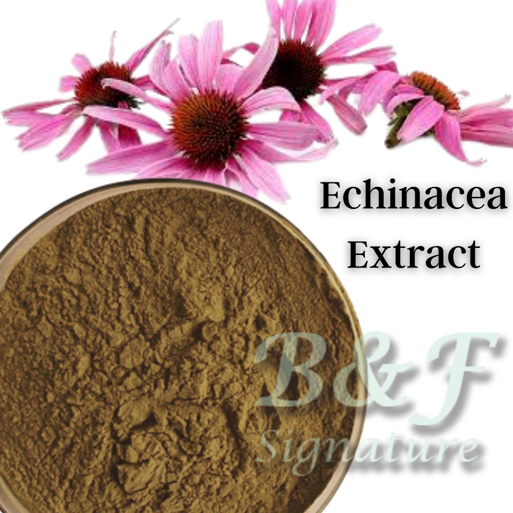 Echinacea Powder Extract 30g - 250g 紫锥菊粉提取物 - WELL BEING | Shopee Malaysia