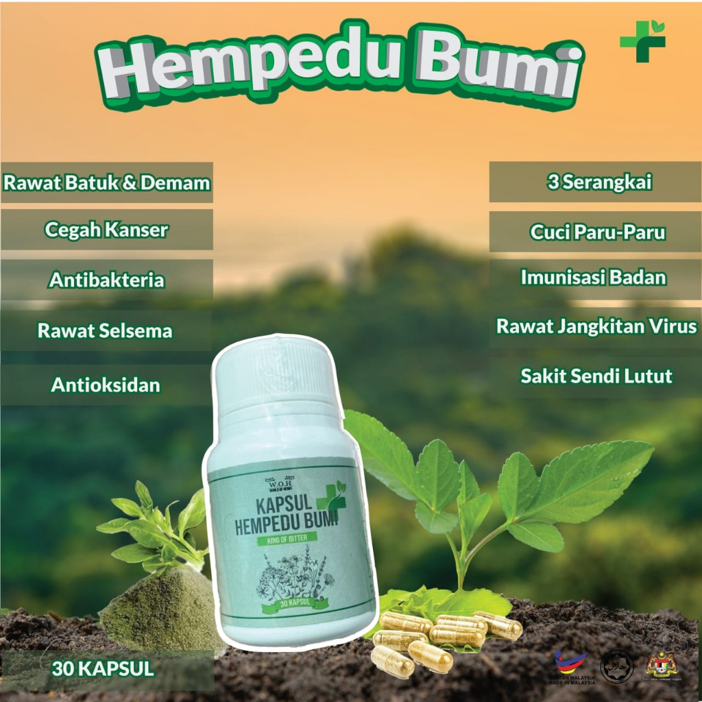 Hempedu Bumi Kapsul [ READY STOCK HQ ] | Shopee Malaysia