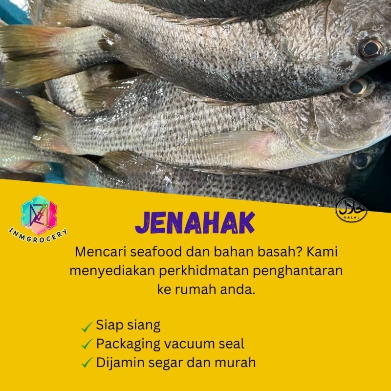 IKAN JENAHAK 1 EKOR (Siap siang, cuci dan pack) Fresh Berkualiti ...