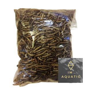 Dried Mealworms For Small Pets Hamster Reptiles Ulat Kering Roti Kering ...