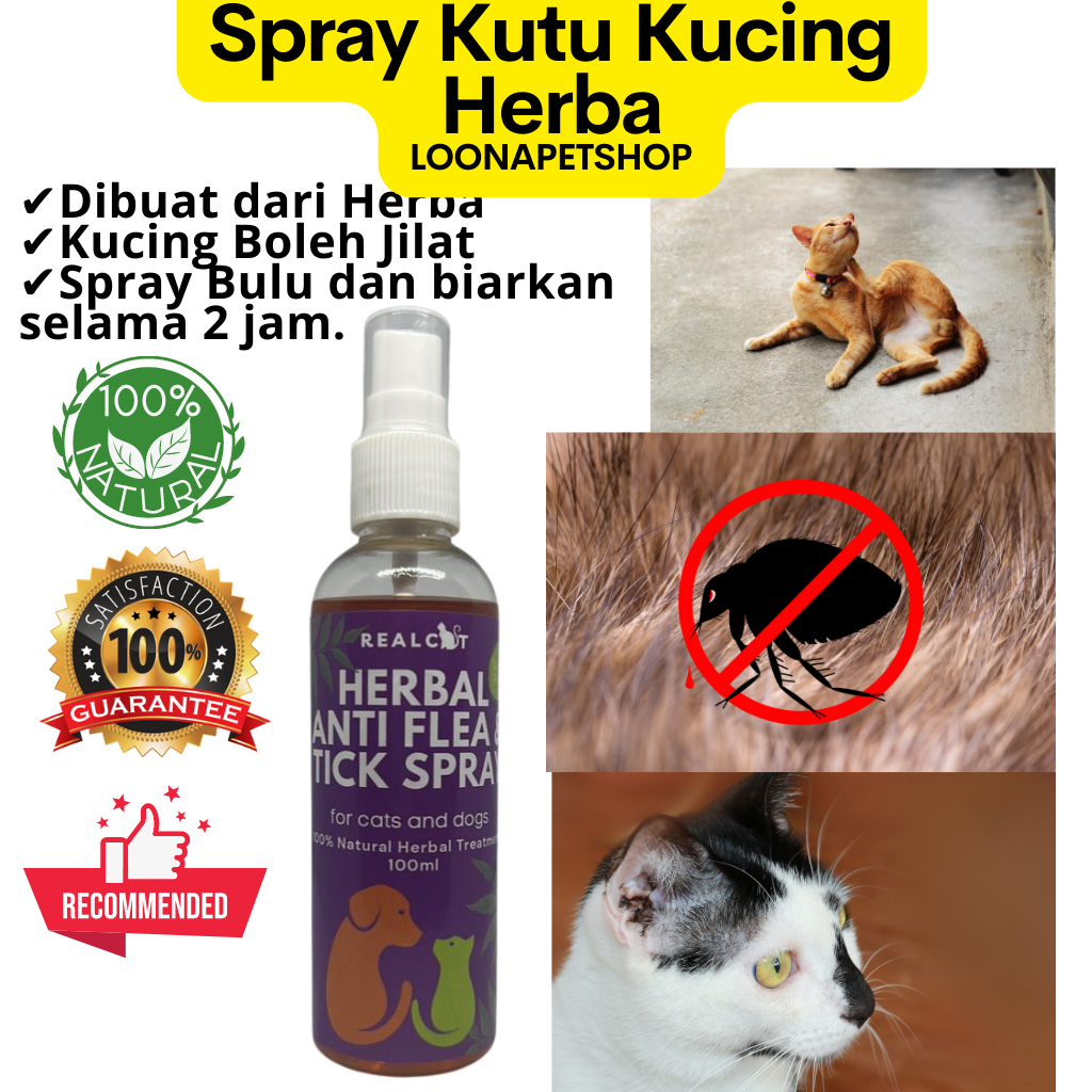 Ubat Spray Kutu Kucing Organik Cat Flea Spray Ubat Kutu Kucing Paling Berkesan 100ml | Shopee ...