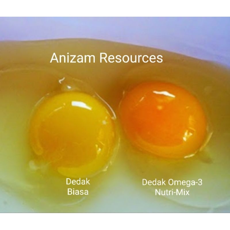 1kg Premix Omega-3 Untuk Hasilkan Telur Omega-3 | Shopee Malaysia