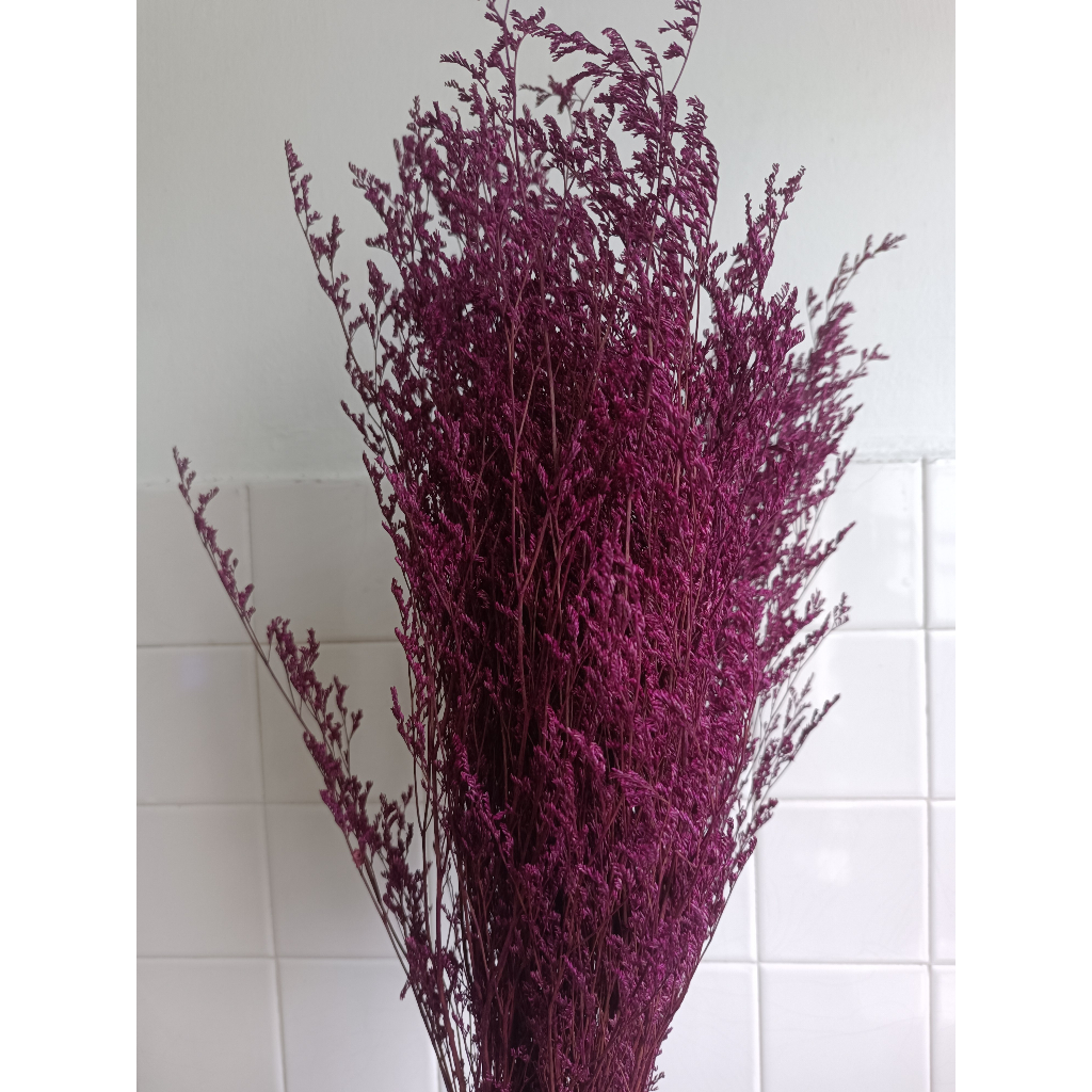 Premium Quality 20/50/100gram Caspia | Preserved Dried Flower | Bouquet ...