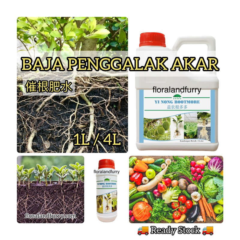 1L 4L Yi Nong Rootmore Baja Penggalak Akar Semburan Sayur Sayuran Pokok ...